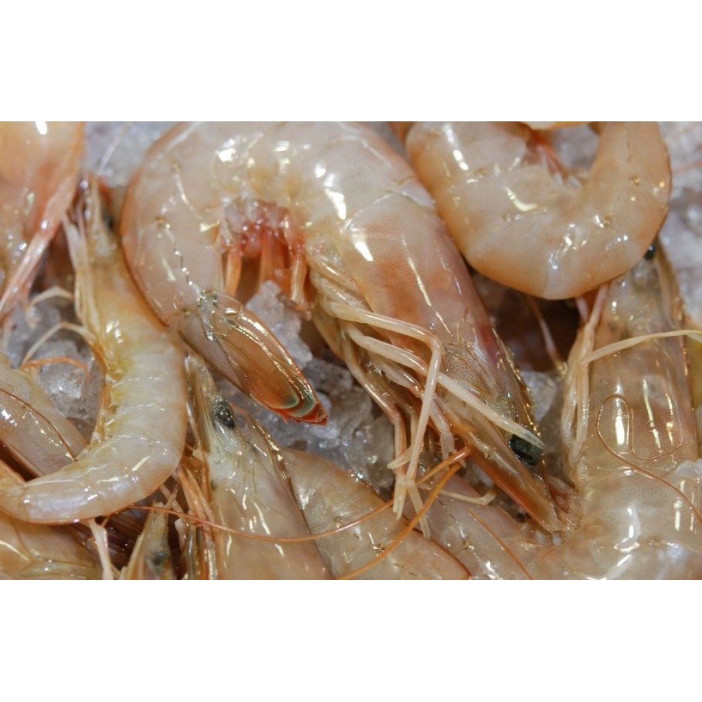 U 10 Shrimp Valhalla Seafood Come By Saturday From 10 2 And Check