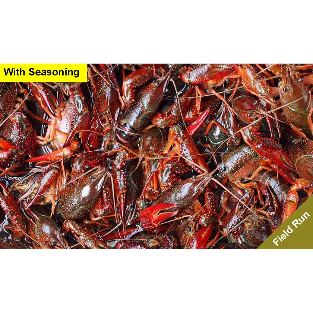 60 lbs of Field Run Live Crawfish Delivery with Seasoning – Straight ...